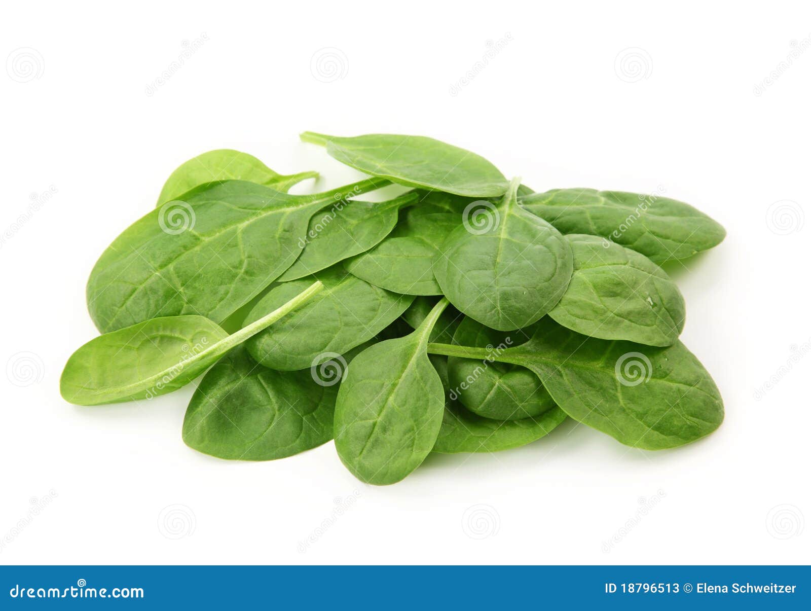 Baby spinach leaves stock image. Image of heap, isolated - 18796513