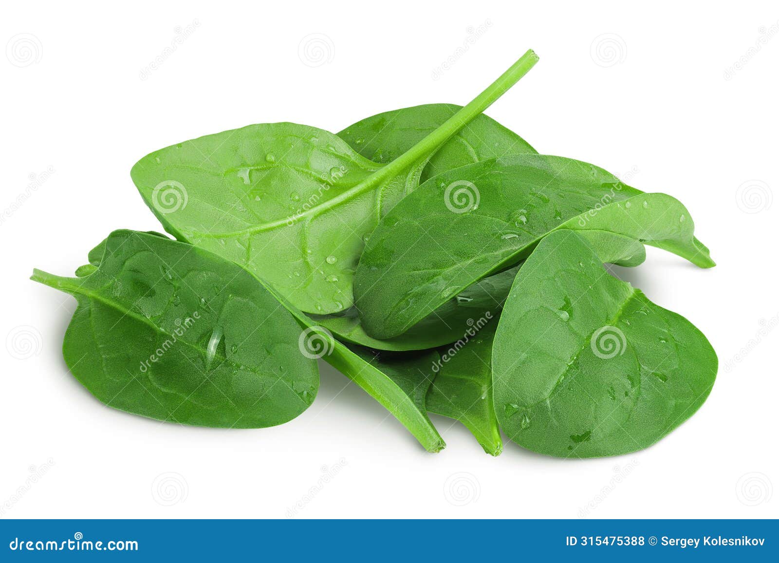 Baby Spinach Leaves Isolated on White Background Stock Photo - Image of ...