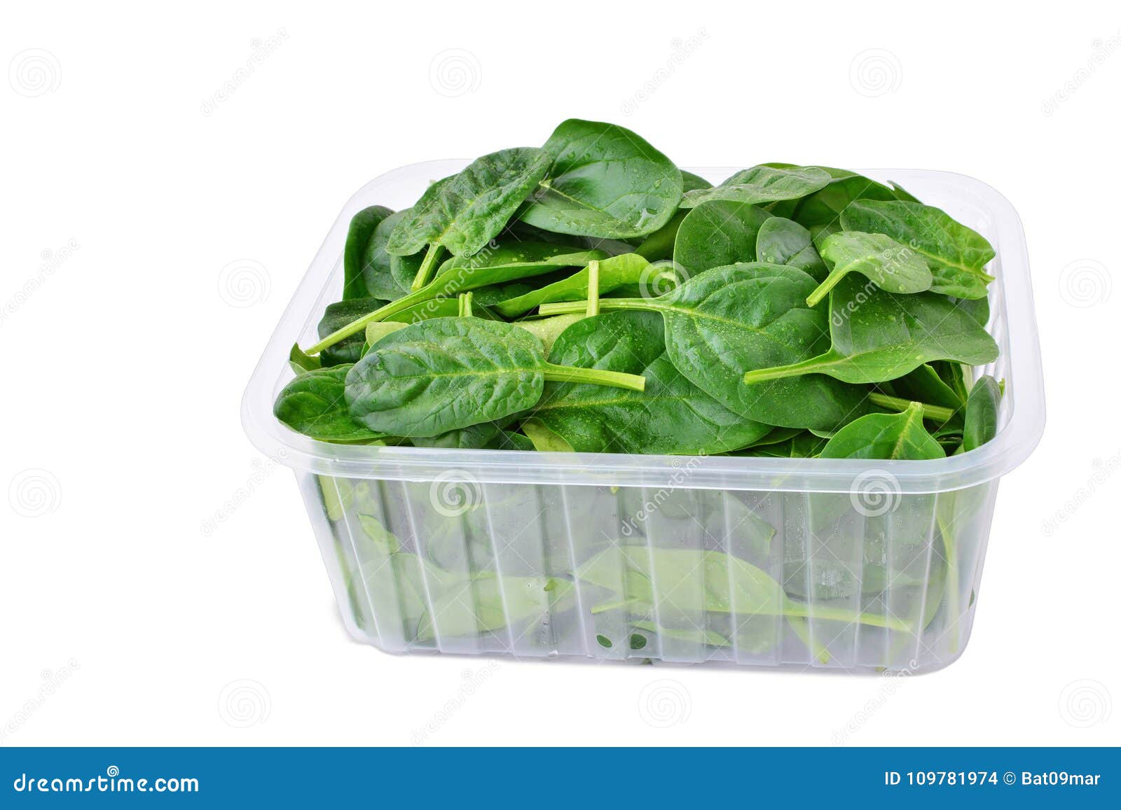Baby Spinach Leaves in Plastic Container Stock Photo - Image of ...