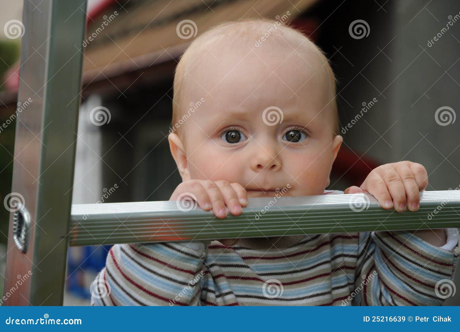 Baby on step ladder stock image. Image of caucasian, stick - 25216639