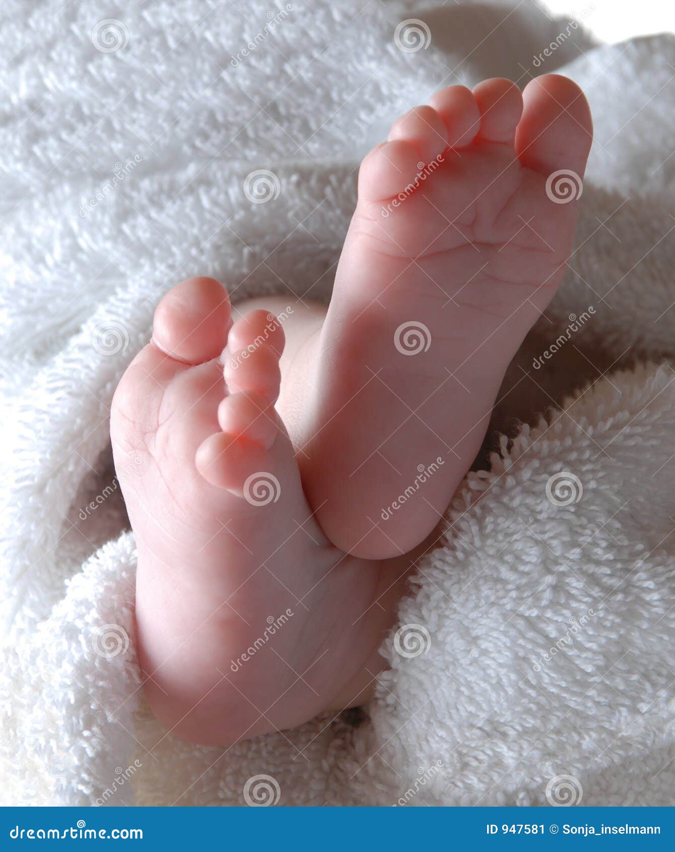 Baby steps stock image. Image of holding, babies, infantil - 947581
