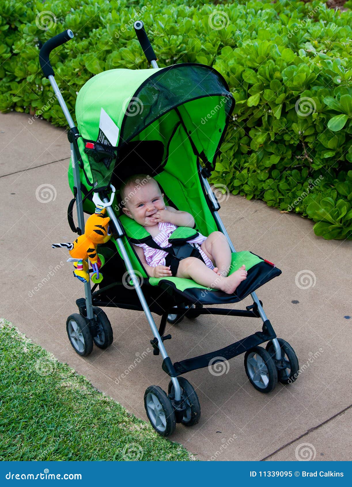 Baby in stroller stock image. Image of sidewalk, umbrella - 11339095