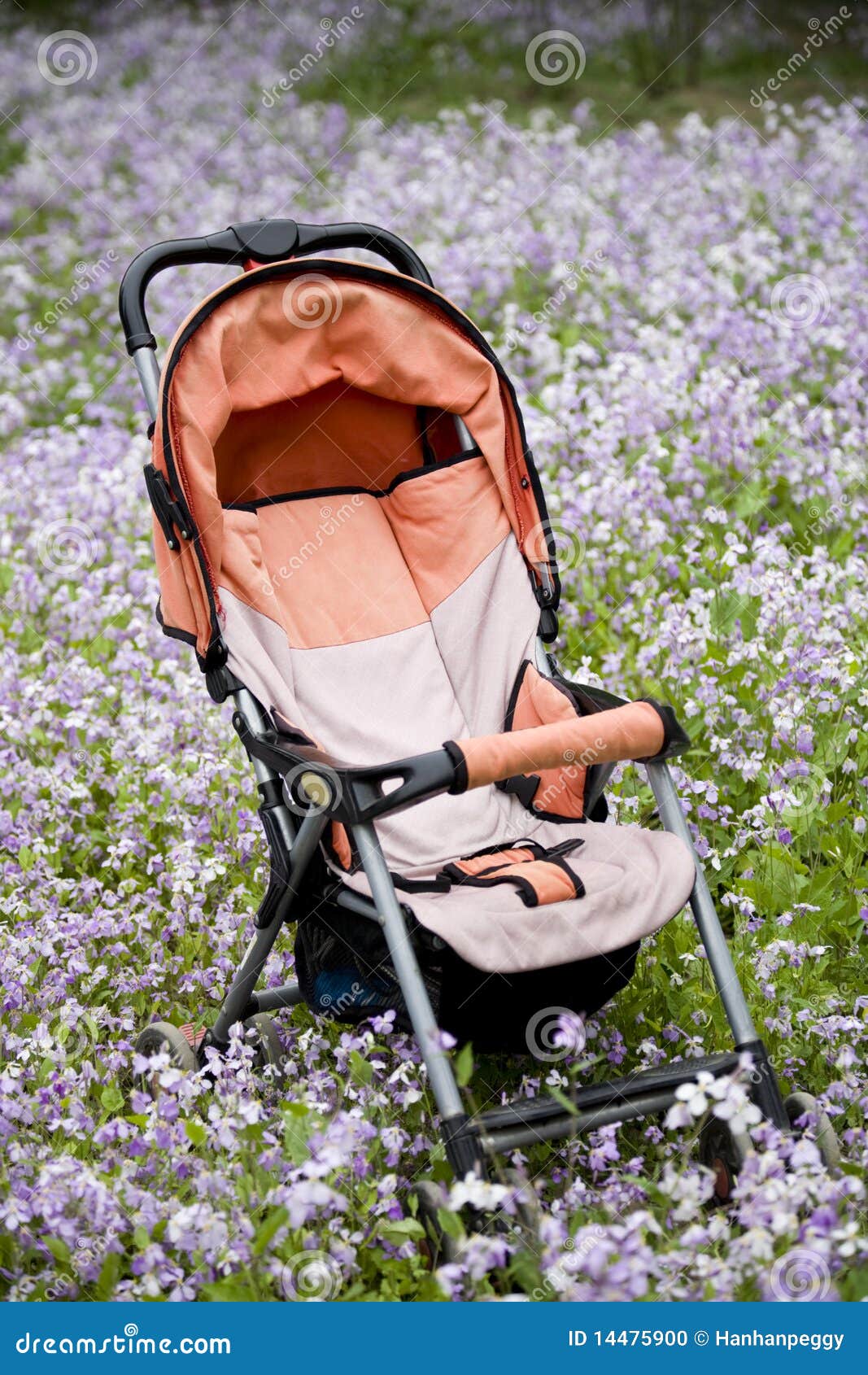 Baby Stroller stock photo. Image of empty, meadow, landscape - 14475900