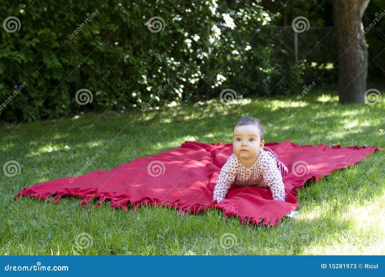 Baby in summer stock image. Image of small, young, baby - 15281973