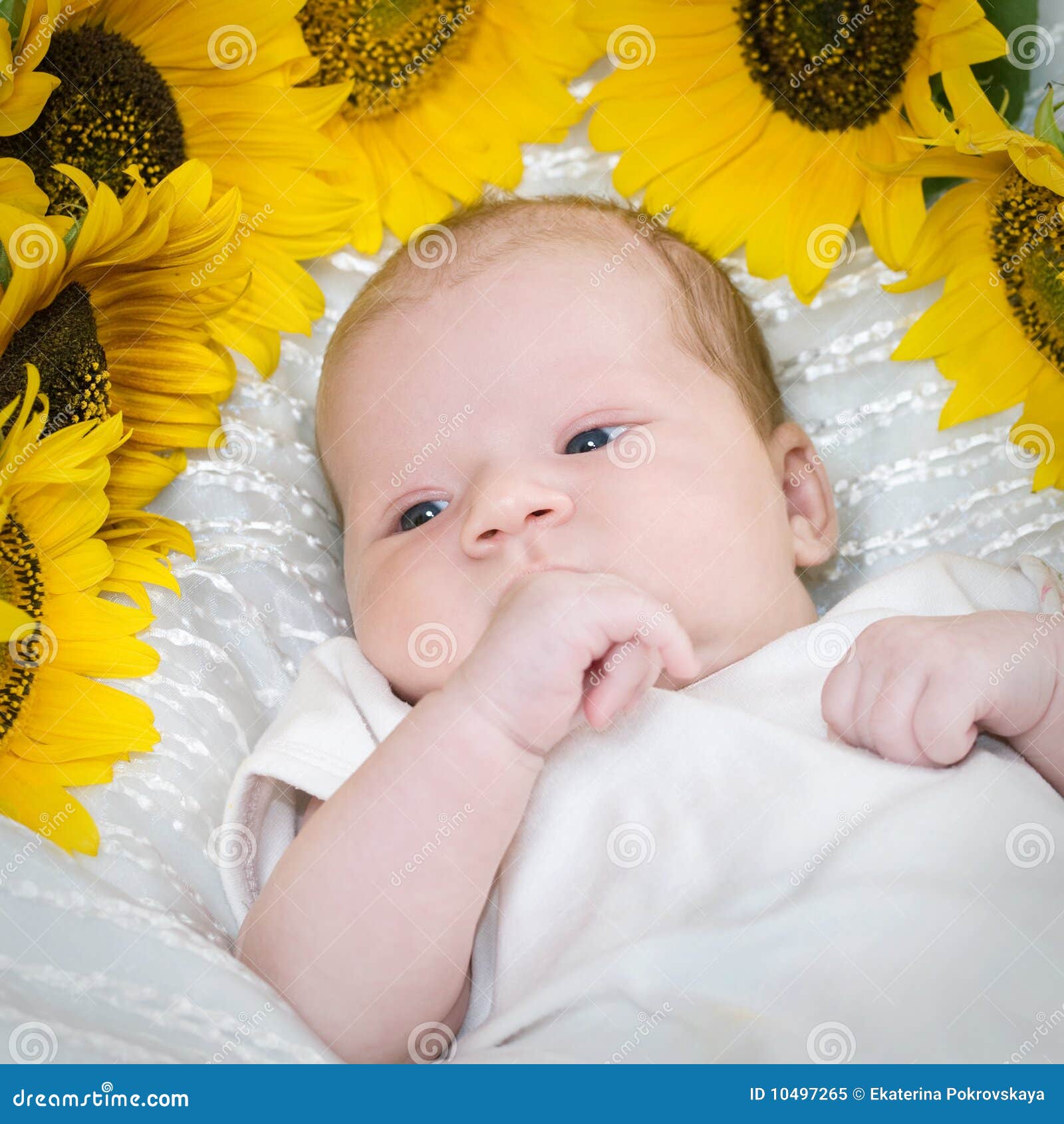 Baby with sunflower stock image. Image of finger, birth - 10497265
