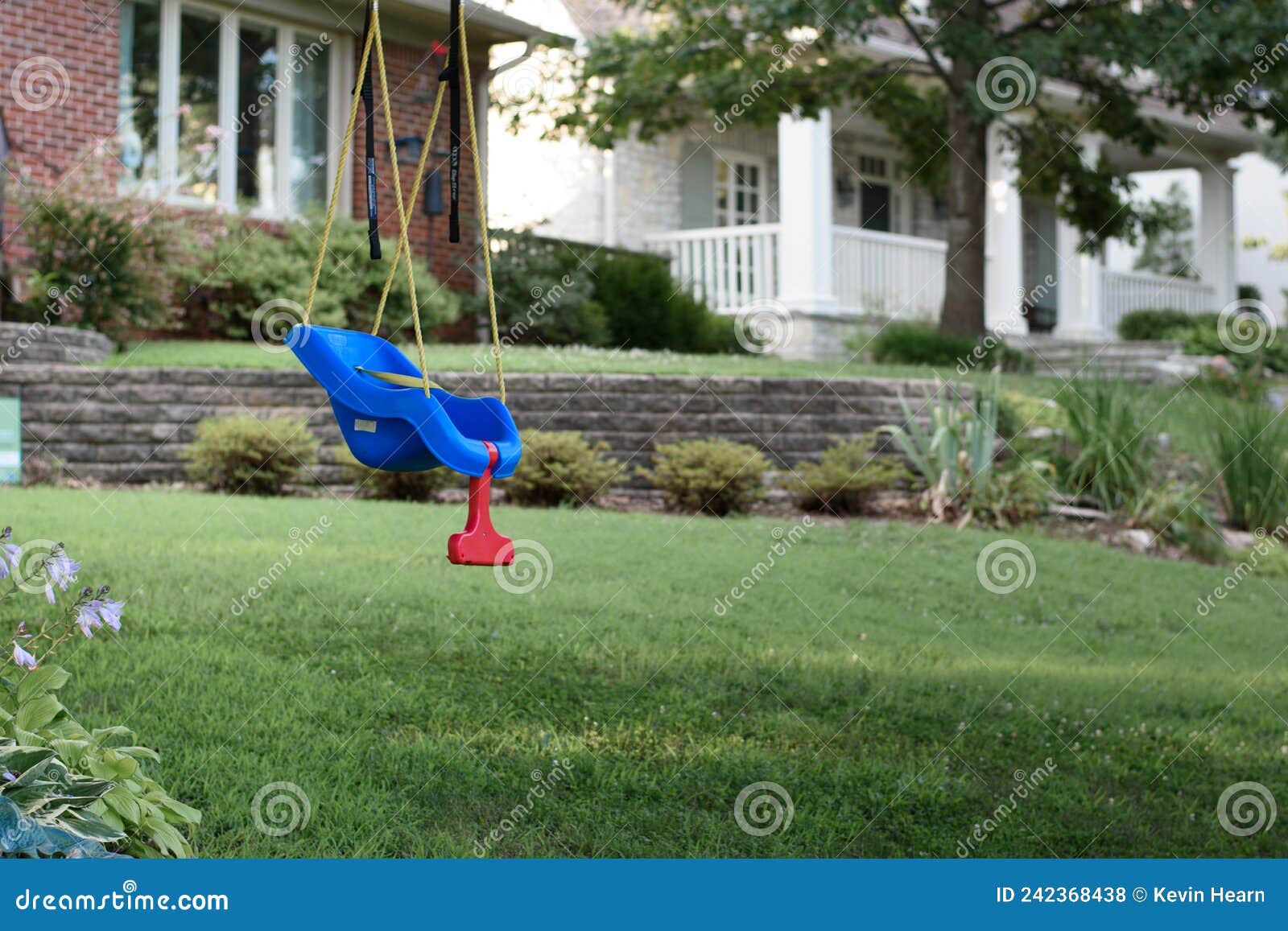 Baby Tree Swing in Front Yard Stock Photo - Image of empty, baby: 242368438