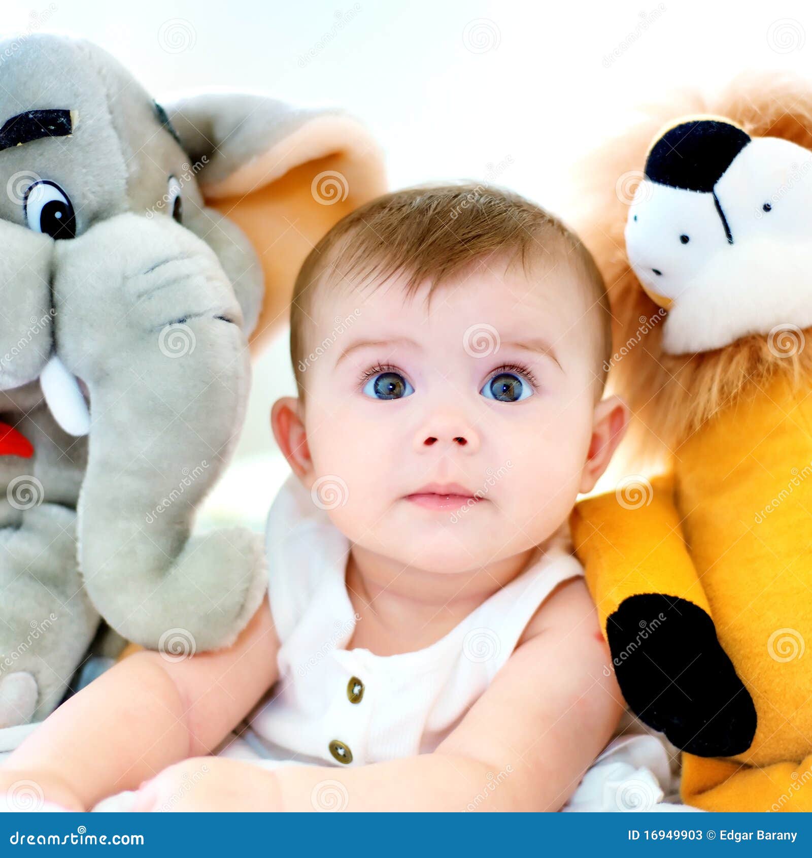 Baby and teddy stock image. Image of cord, lost, gorgeous - 16949903
