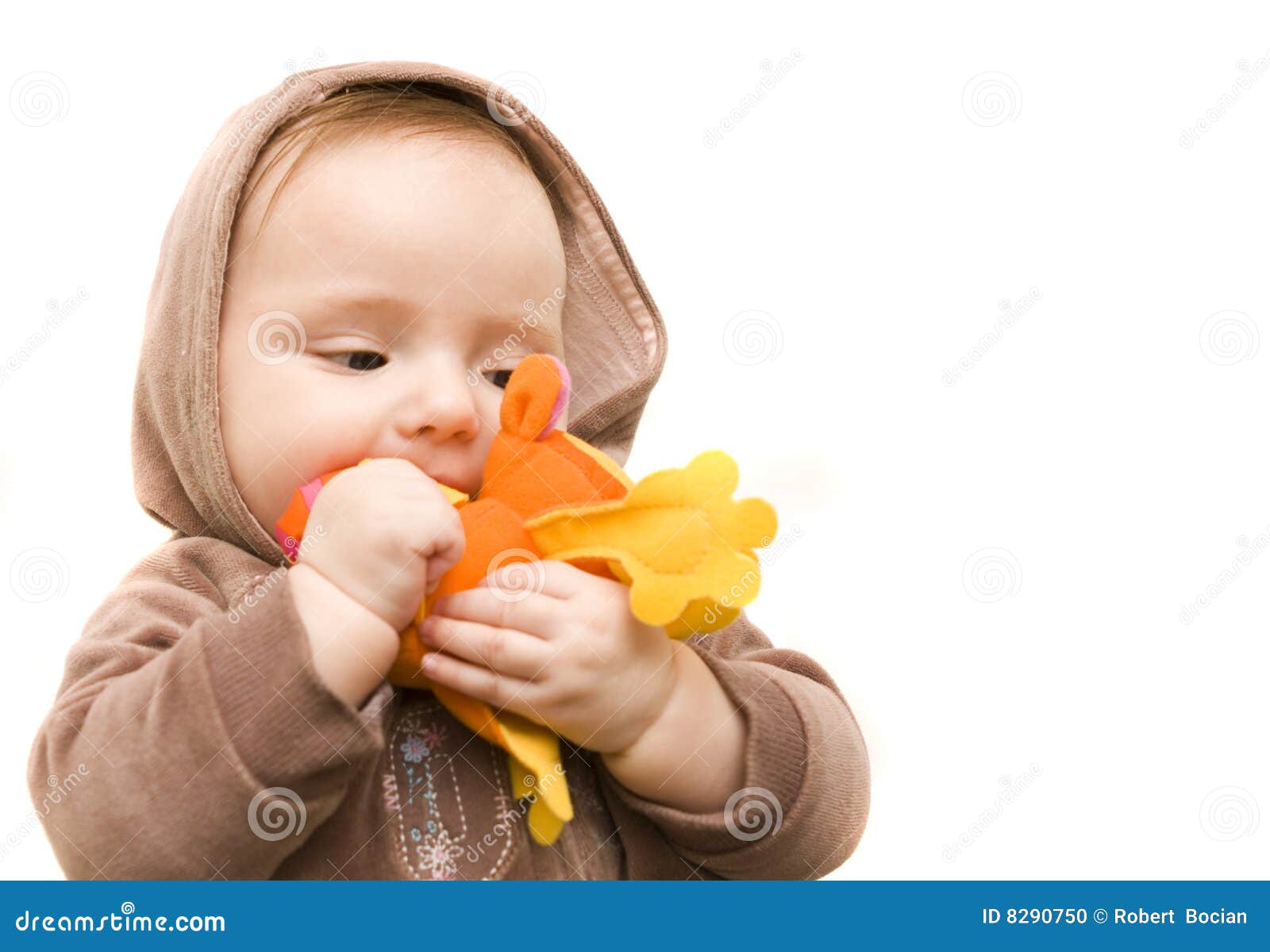 Baby with teddy stock photo. Image of baby, childhood - 8290750