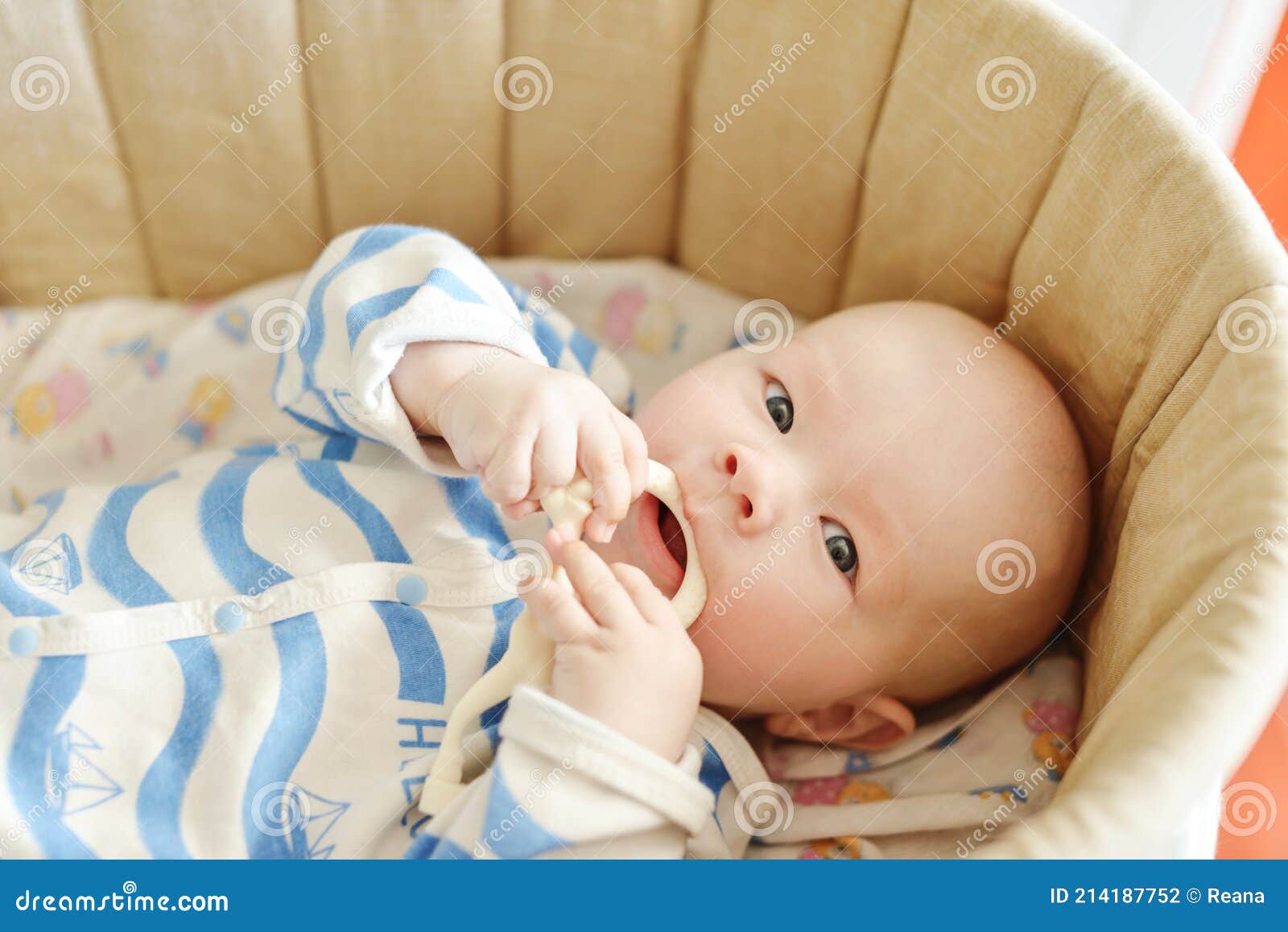 Baby with teether stock photo. Image of health, healthcare - 214187752