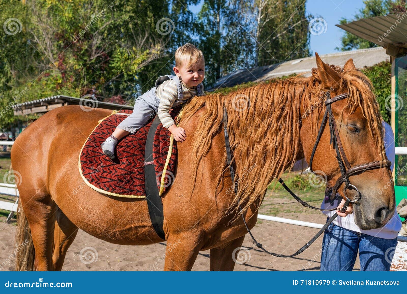 Baby of Three Rides on Horseback Stock Image - Image of farm, riding ...