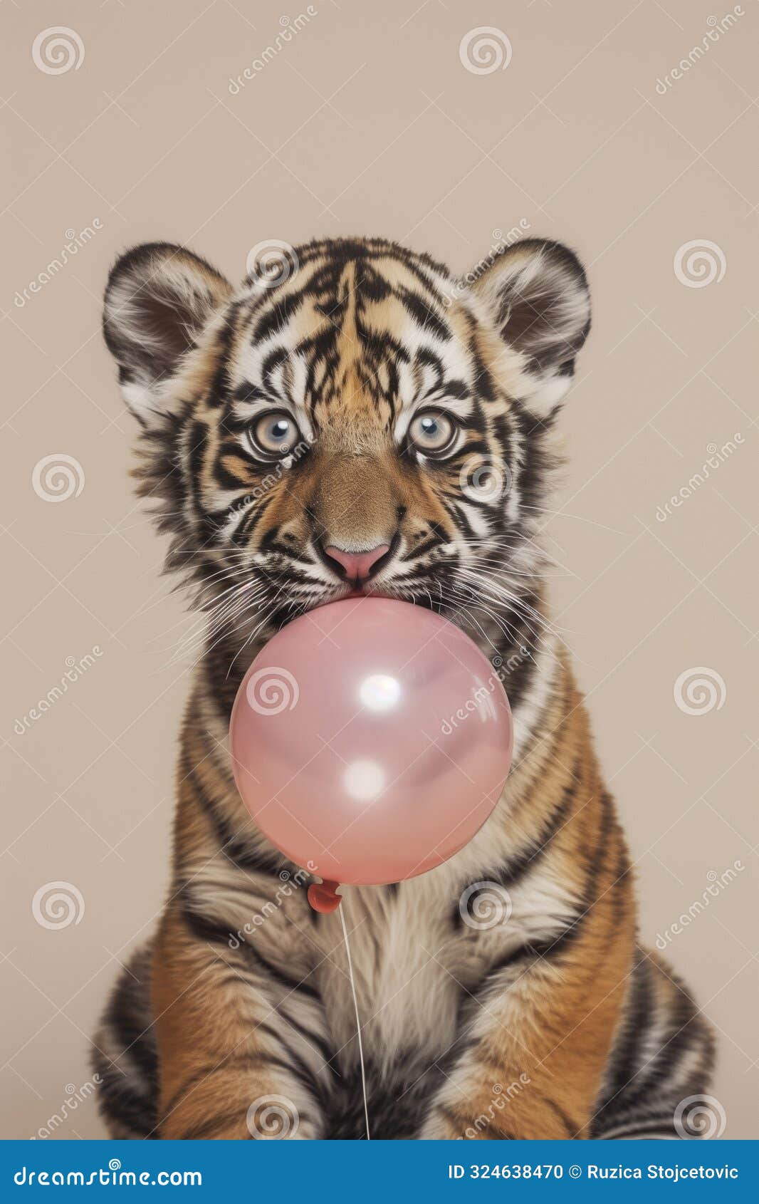 Baby Tiger Blowing Bubble Gum Ai Photo Stock Illustration ...
