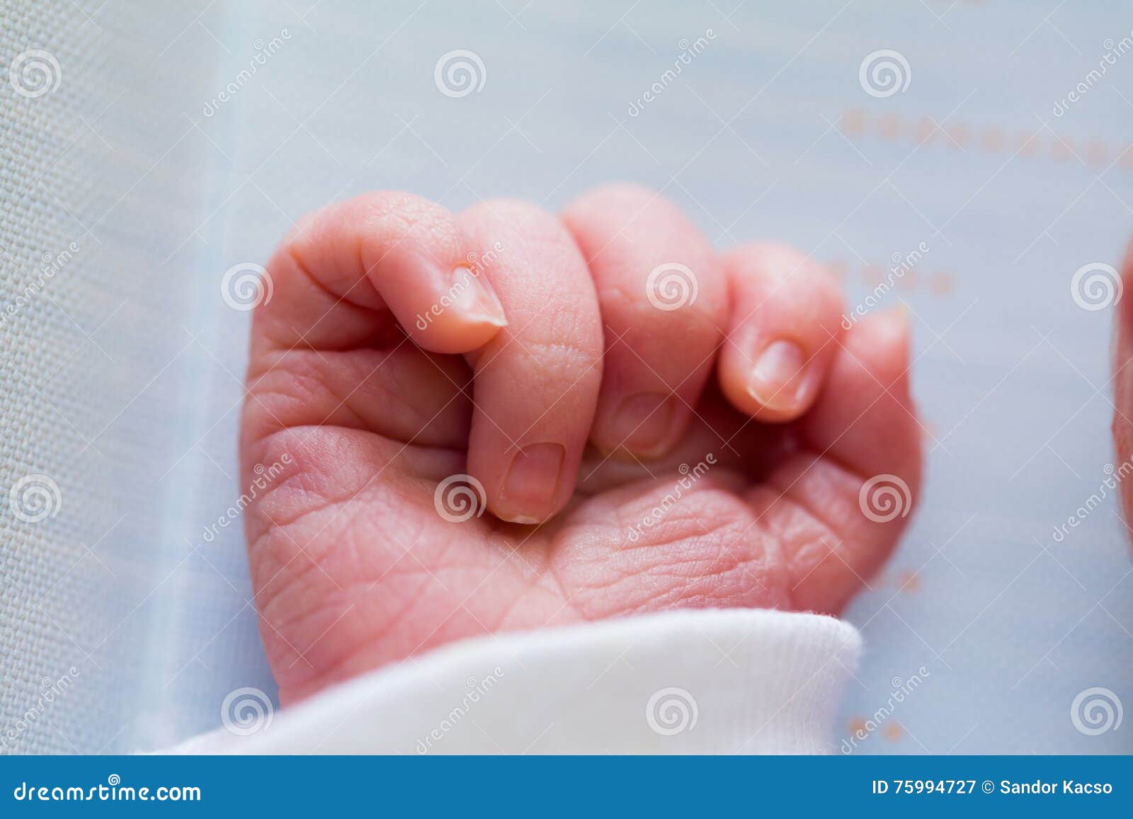 Baby tiny hand stock image. Image of close, nail, family - 75994727