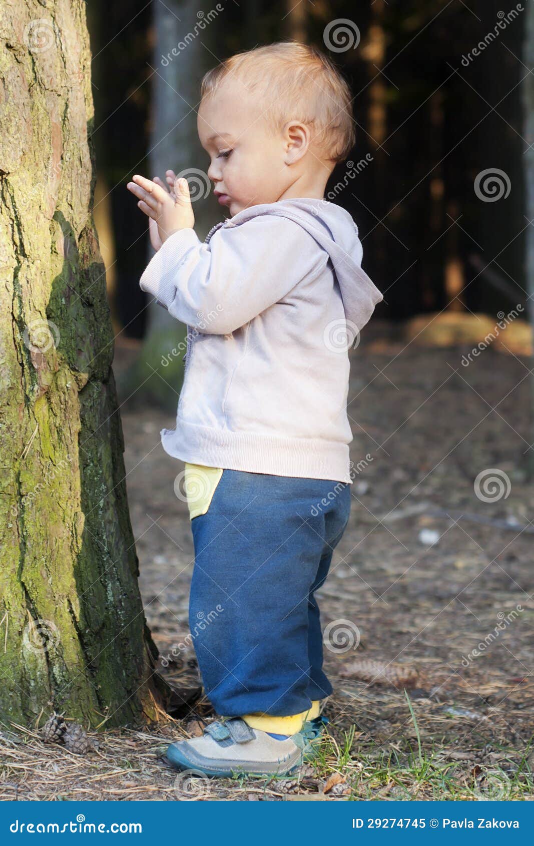 Baby or toddler in forest stock image. Image of nature - 29274745