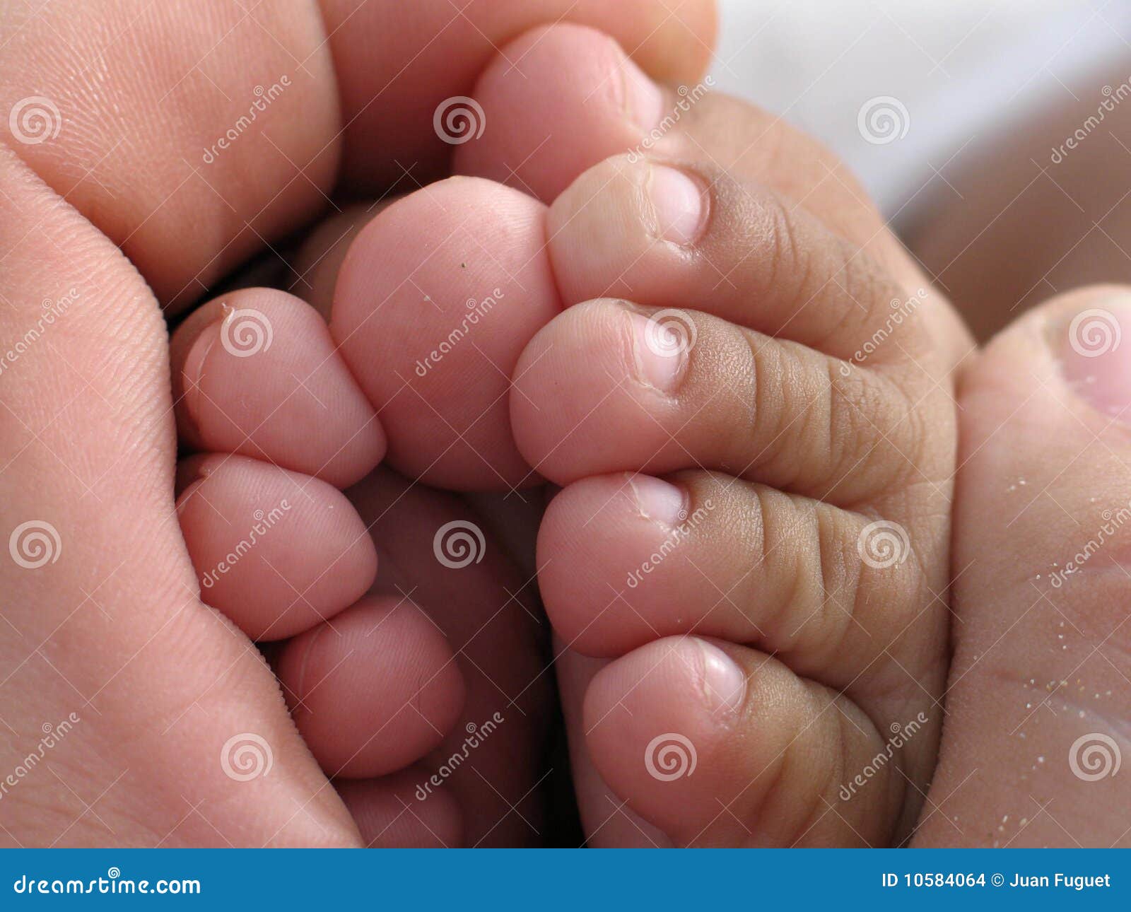 Baby toes stock photo. Image of nail, doctor, relax, toes - 10584064
