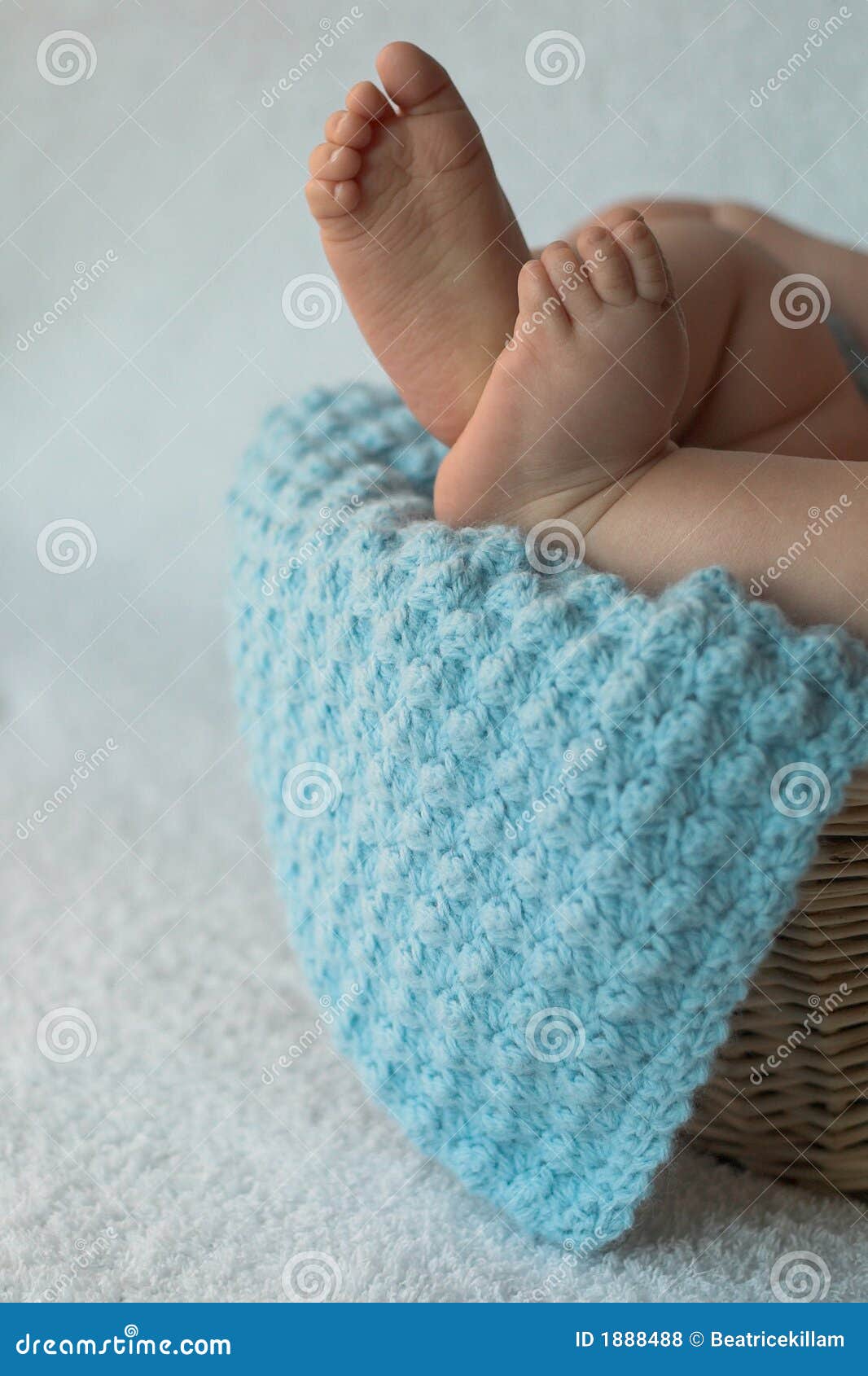 Baby Toes Picture. Image: 1888488