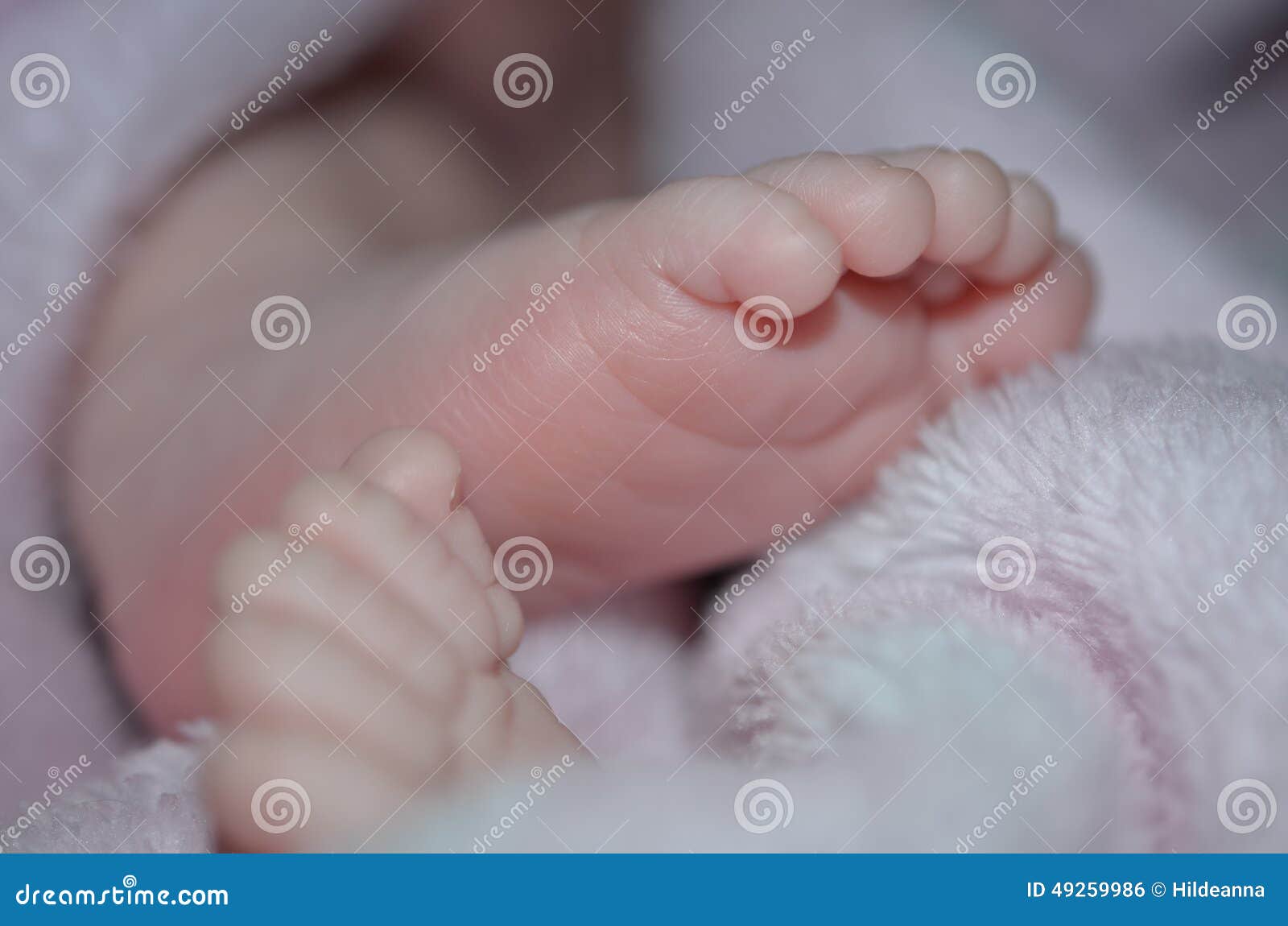 Baby Toes stock photo. Image of toes, delicate, human - 49259986