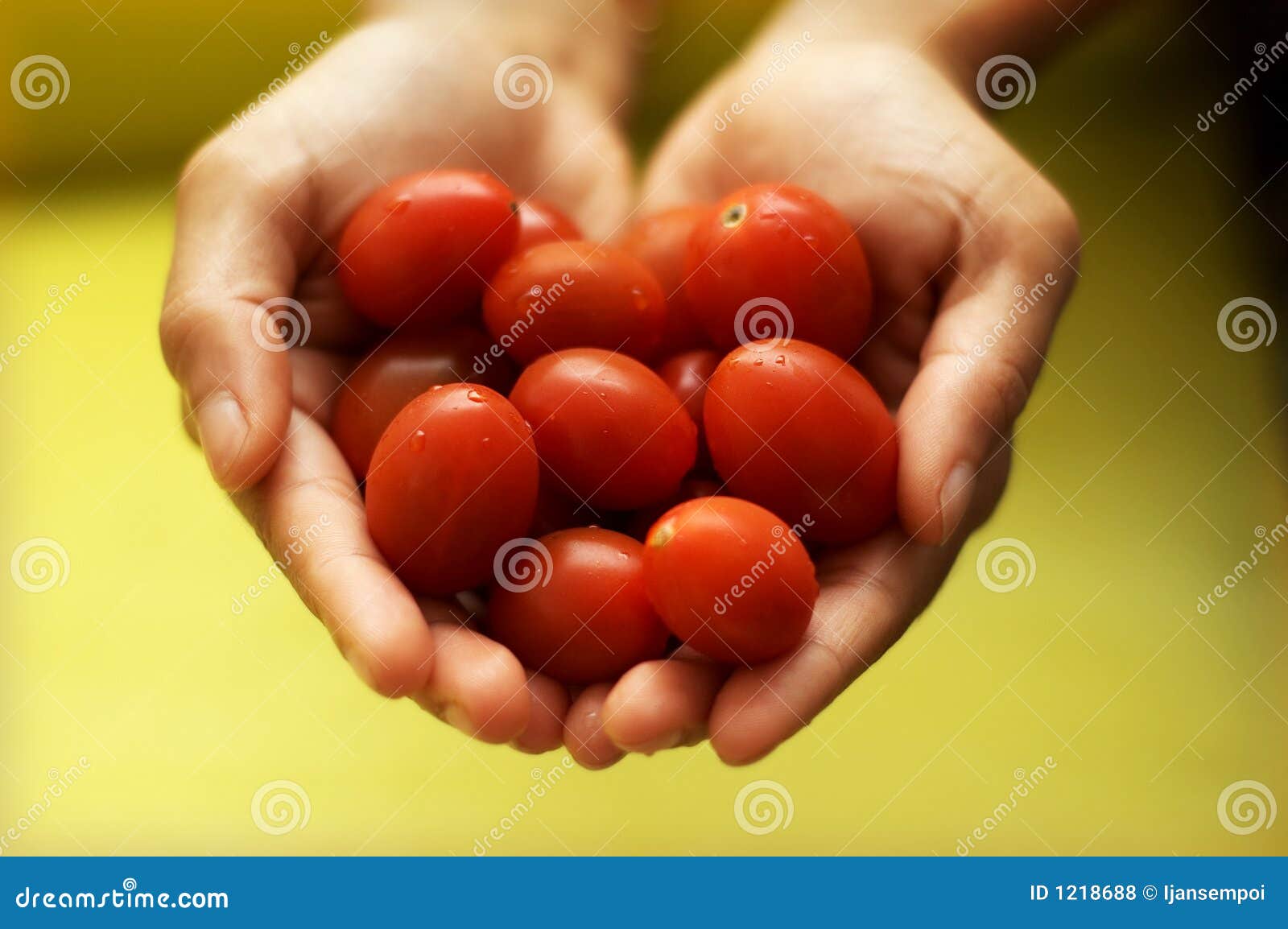 Baby tomatoes stock photo. Image of give, vitamins, hand - 1218688