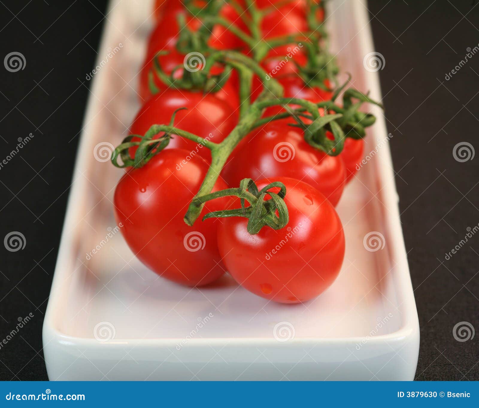 Baby tomatos stock photo. Image of vegetable, tomato, nourishing - 3879630