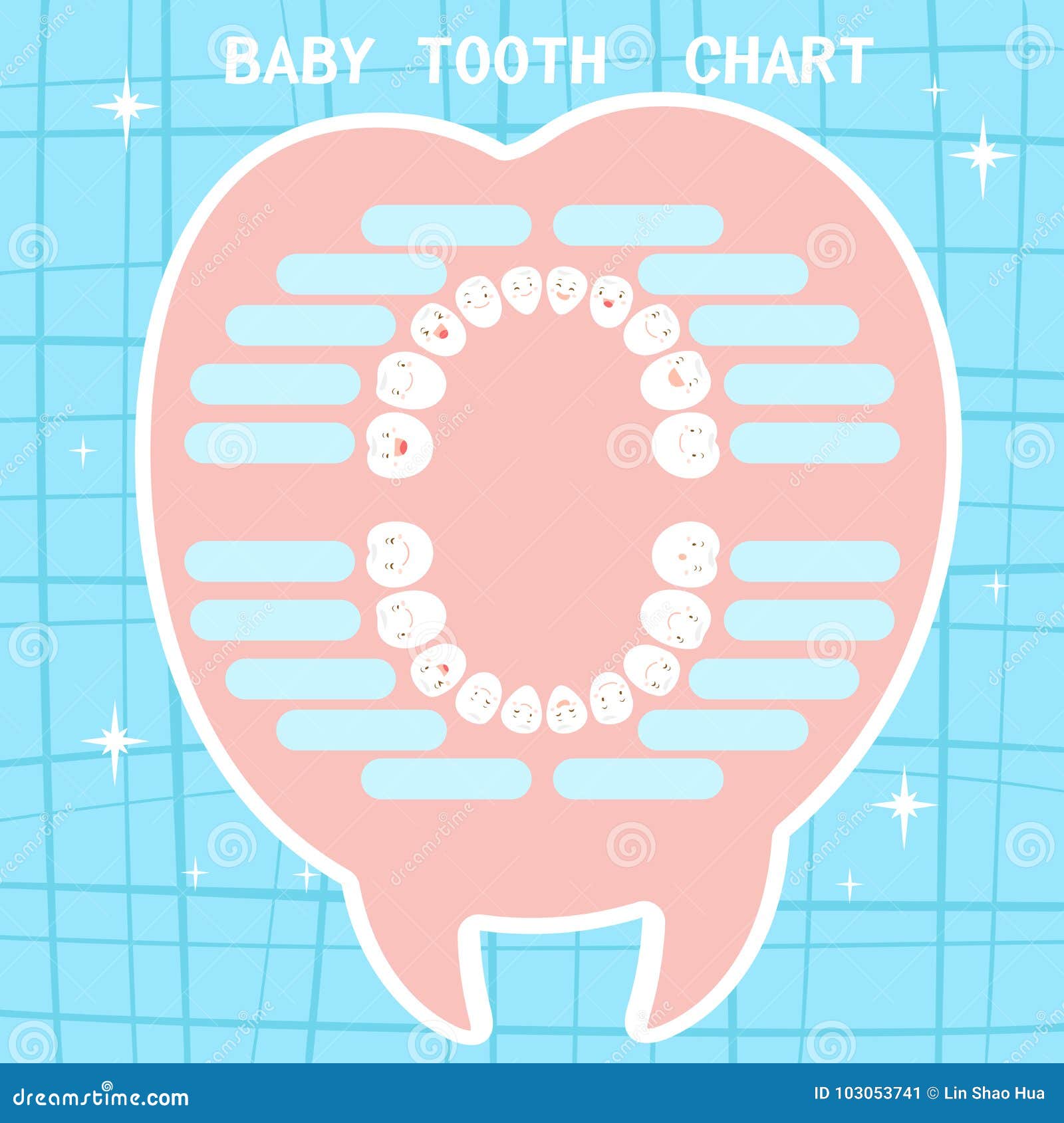 Tooth Chart Infographic Illustration Vector On Blue Background ...