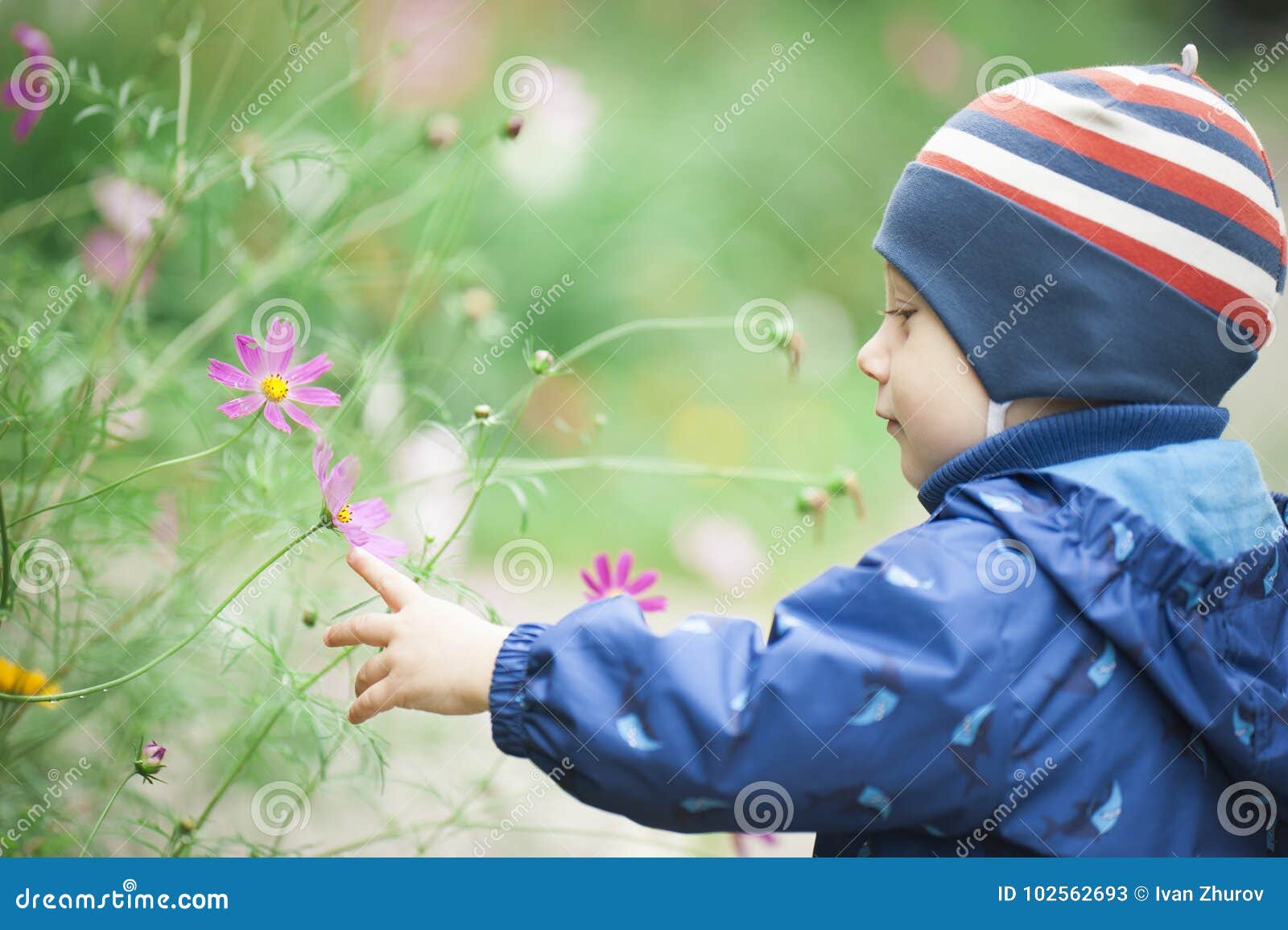 Baby touches the flower stock image. Image of floral - 102562693