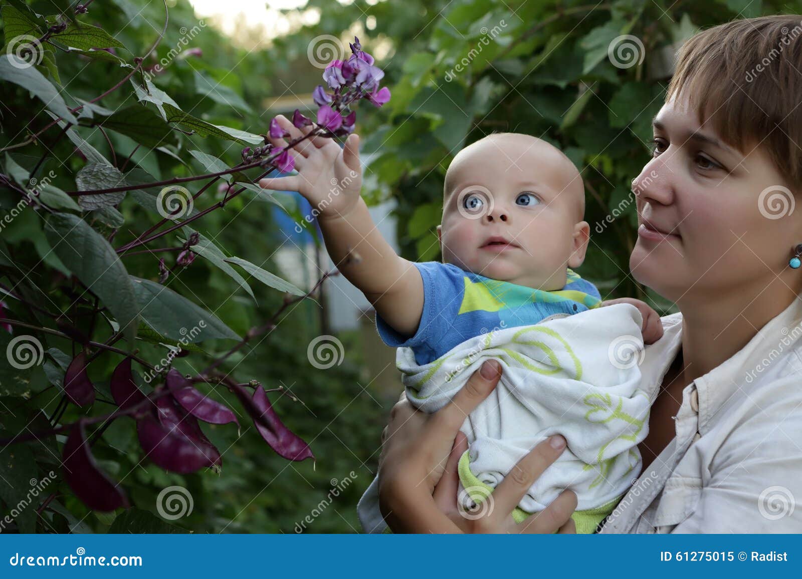 Baby touching bush stock image. Image of flower, cheerful - 61275015