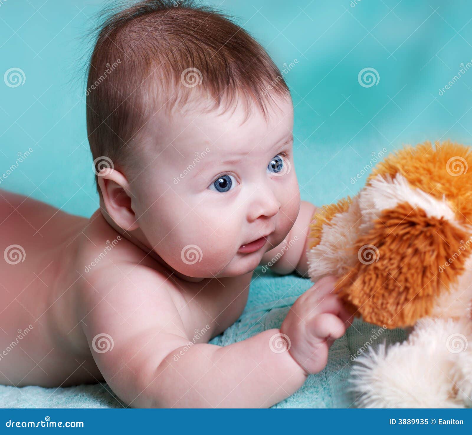 Baby with the toy stock image. Image of birth, feeling - 3889935