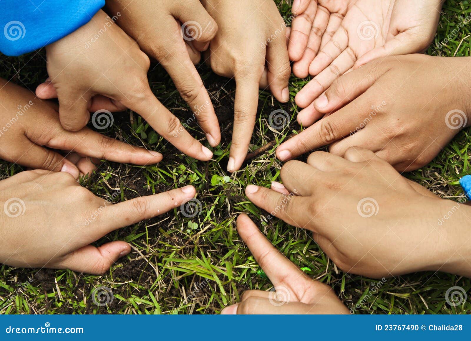Baby Tree stock photo. Image of prosper, prosperous, growth - 23767490