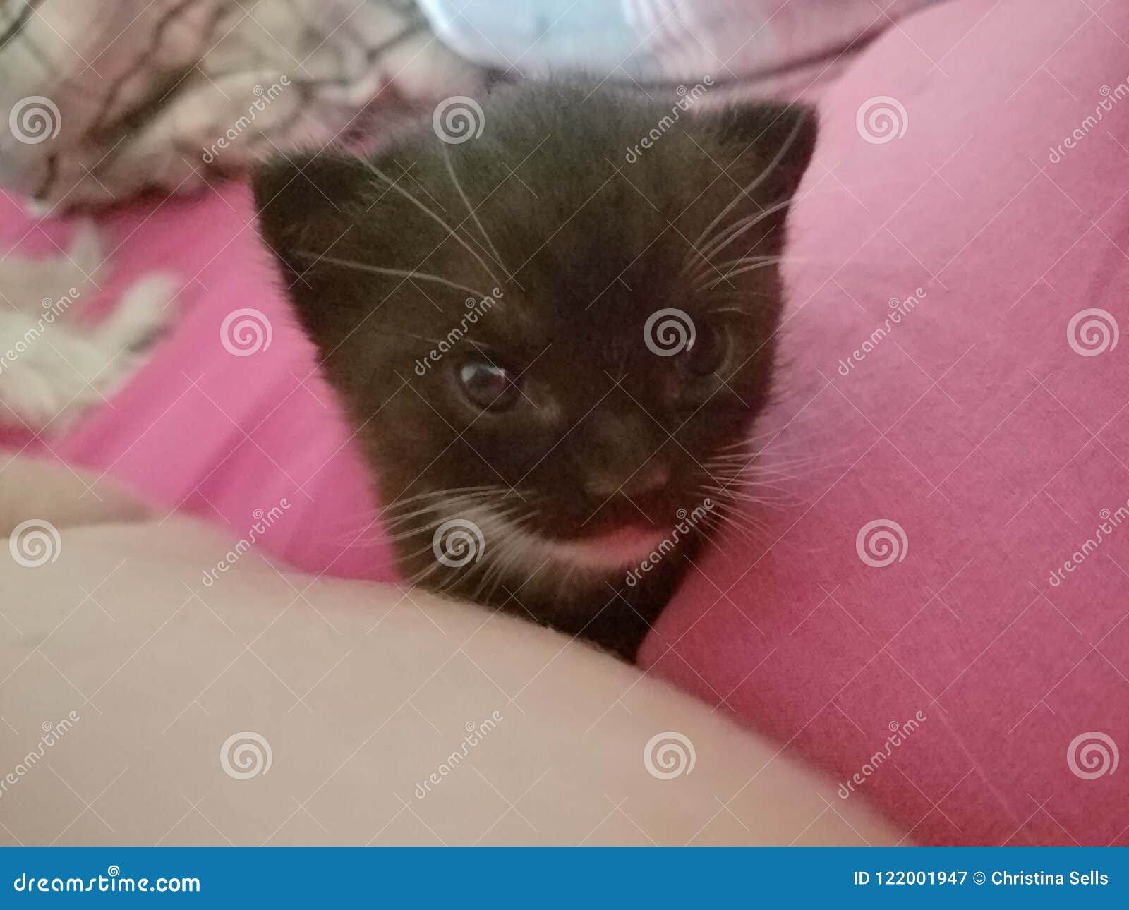 Baby Trooper Stock Photos - Free & Royalty-Free Stock Photos from ...