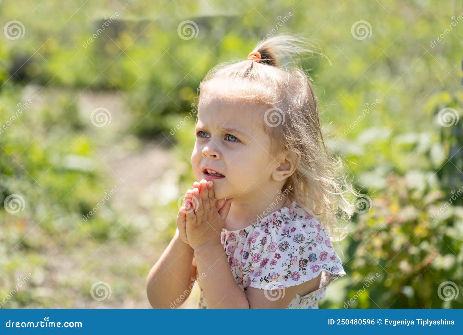 Baby two years old stock photo. Image of kids, park - 250480596