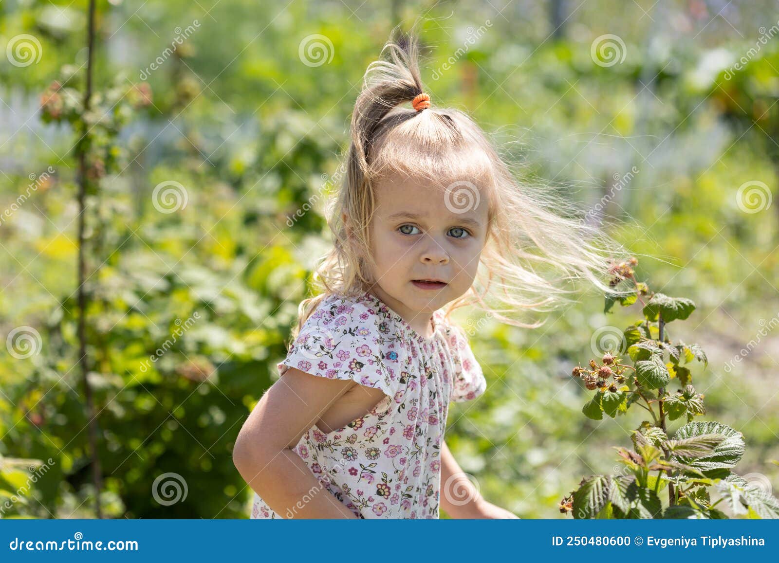 Baby two years old stock photo. Image of family, young - 250480600