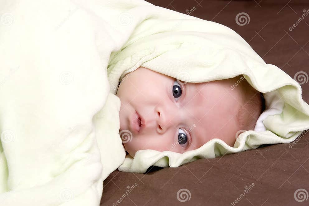 Baby under the blanket stock photo. Image of life, newborn - 5893014