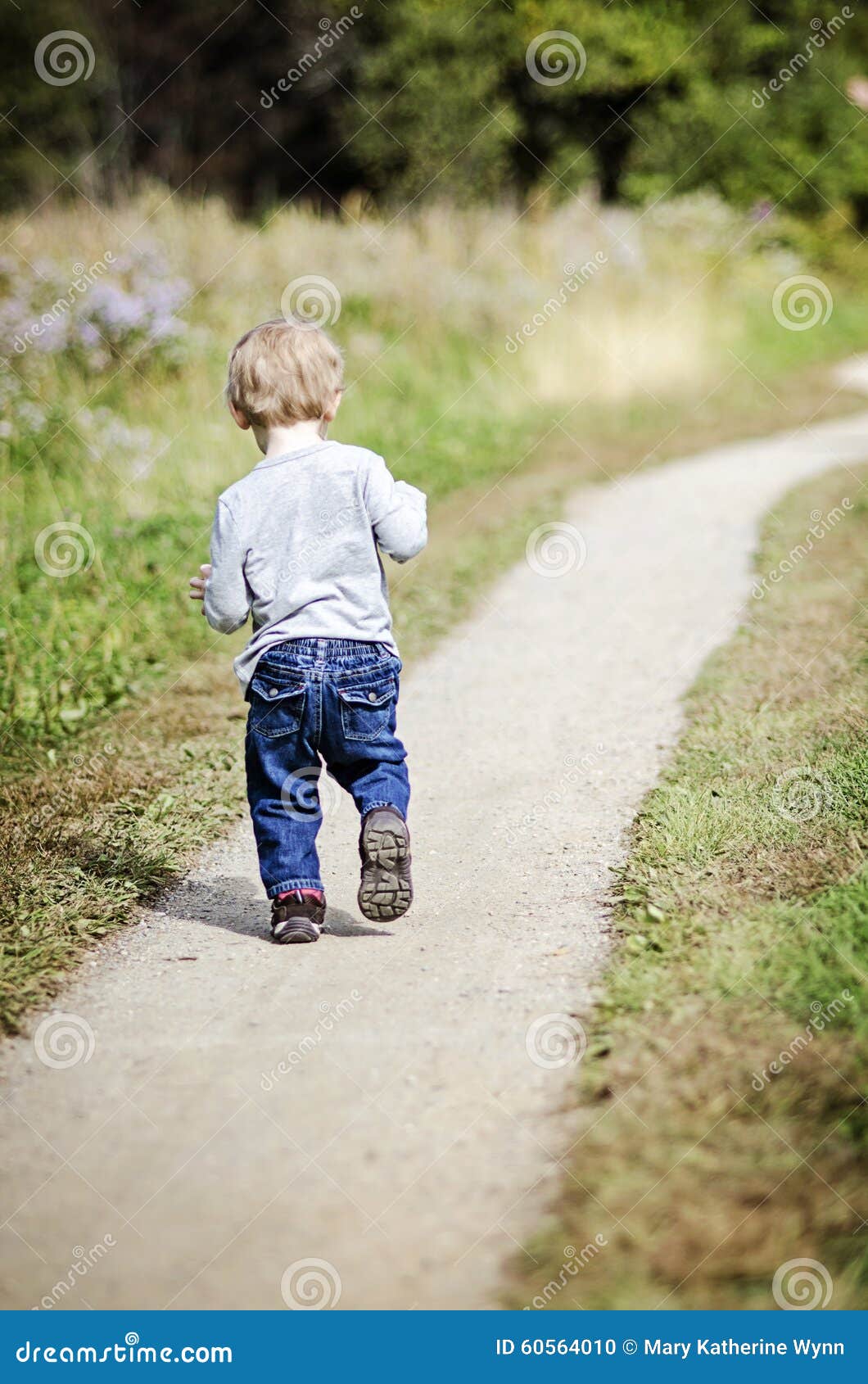 Baby walking stock photo. Image of woods, alone, active - 60564010