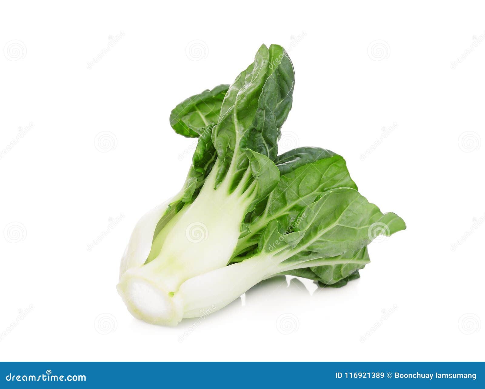 Baby White Pak Choi Isolated on White Stock Image - Image of chinese ...