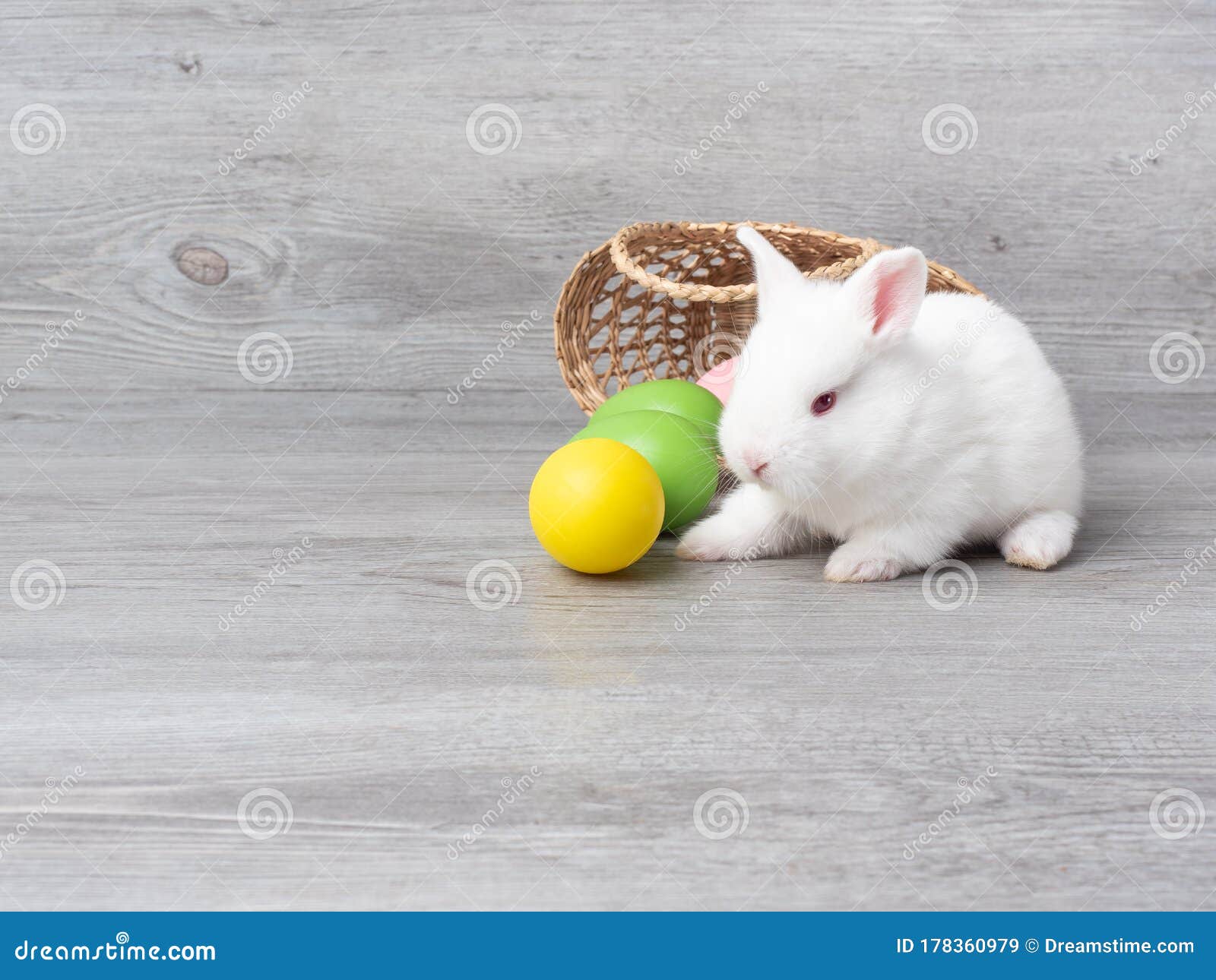 Baby White Rabbit and the Basket with Easter Eggs, on Wood Background ...