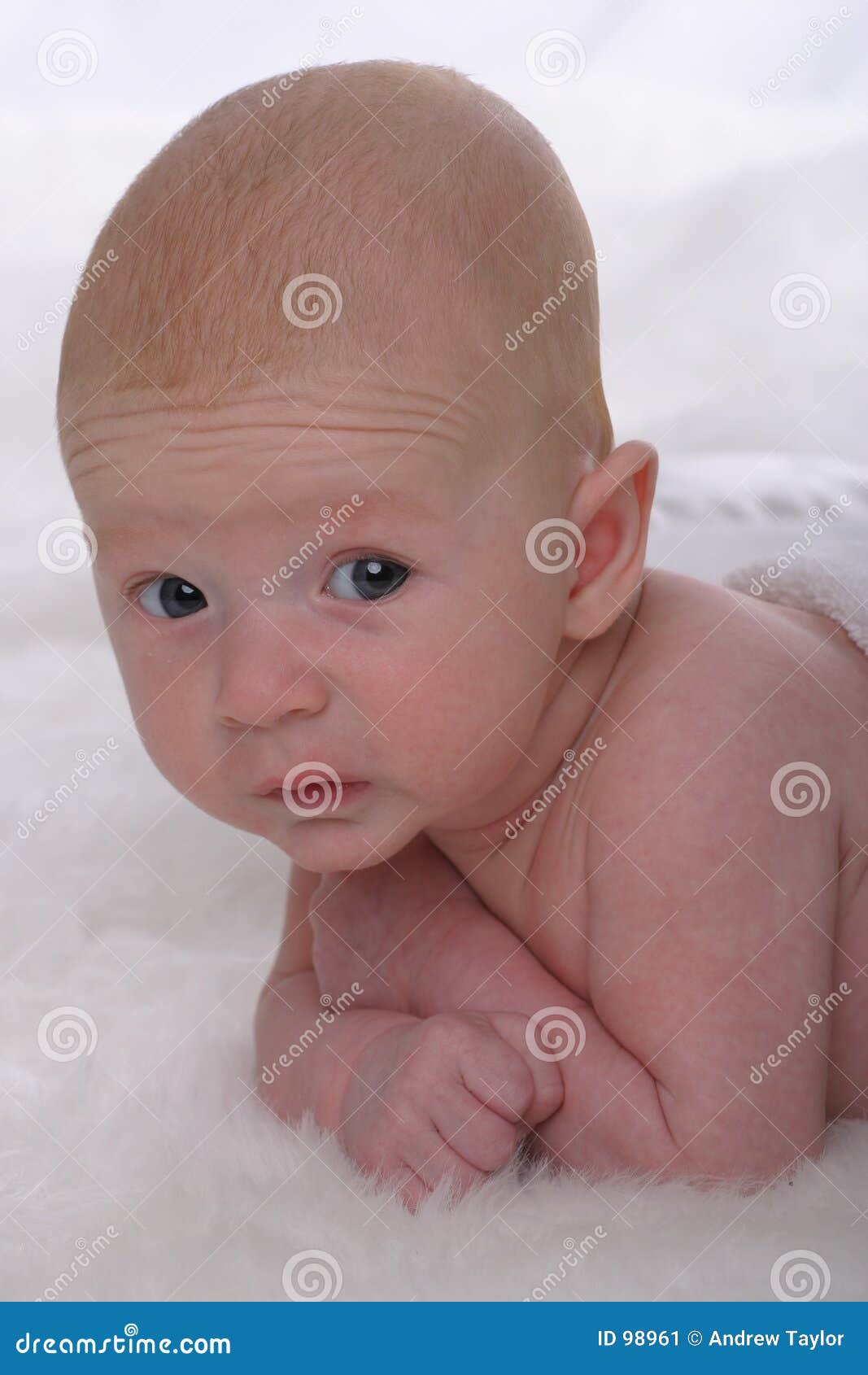 Baby on White1 stock image. Image of adoption, born, soft - 98961