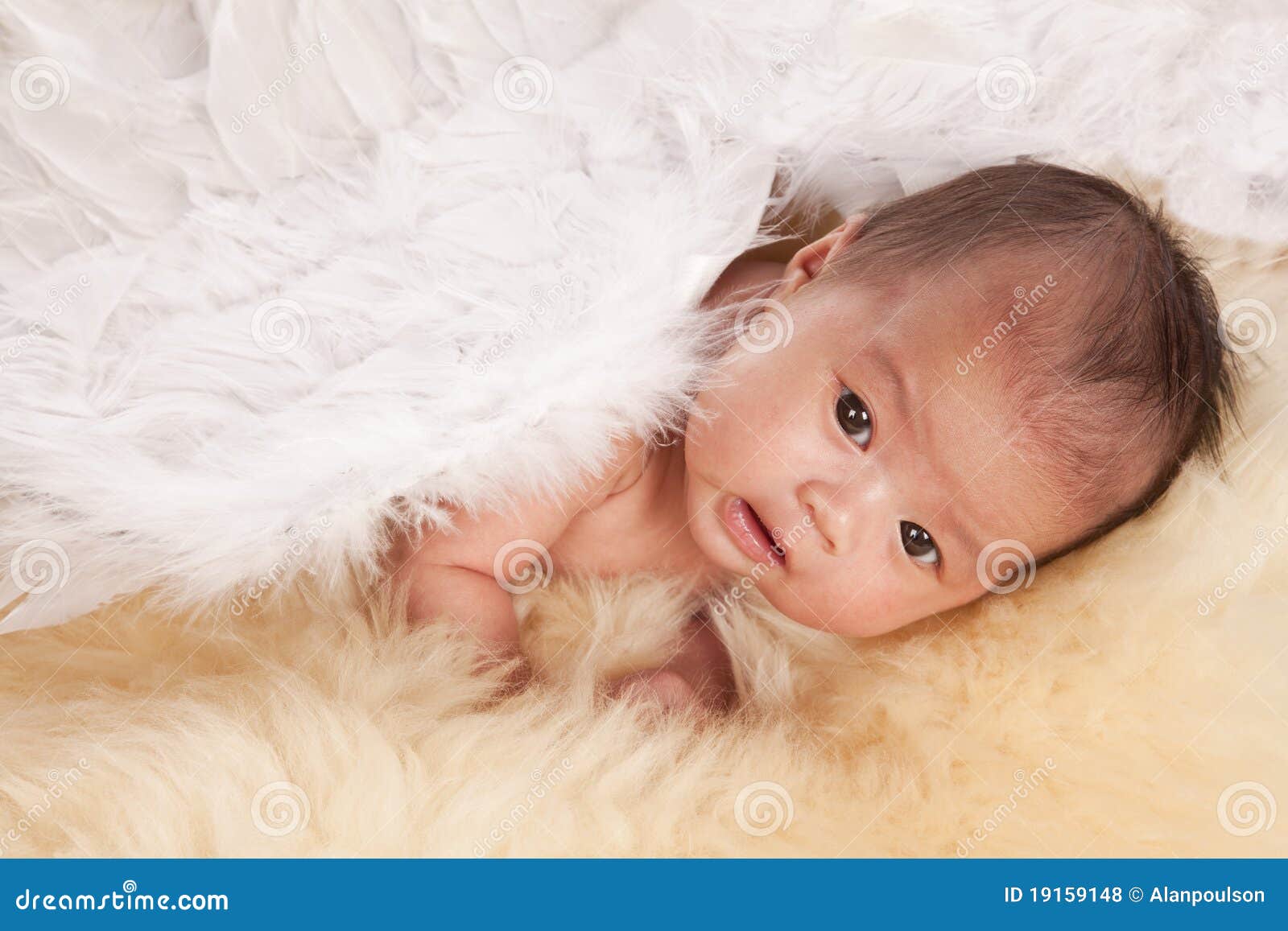 Baby wings stock photo. Image of feather, babygirl, costume - 19159148