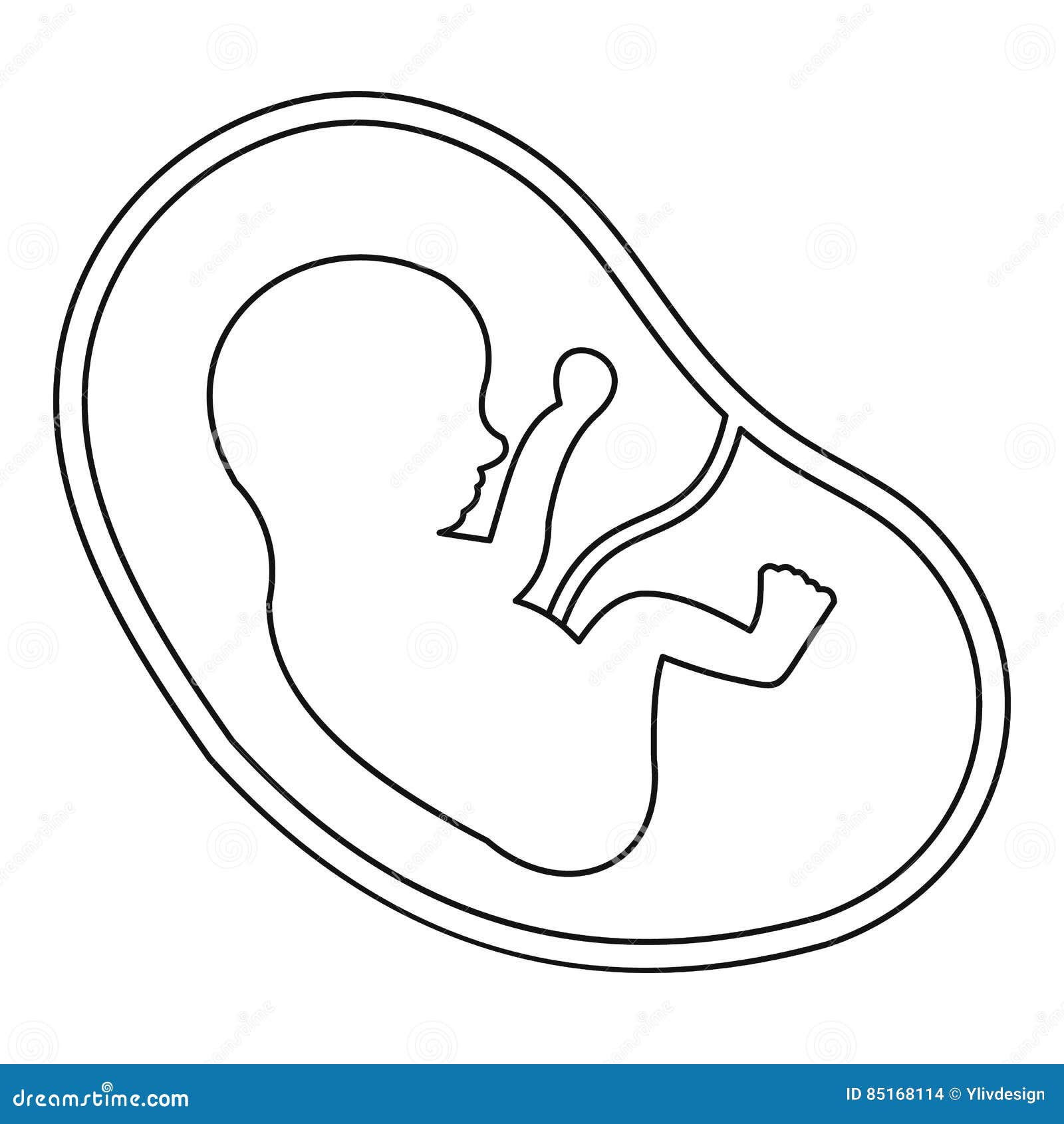 Uterus Coloring Pages Coloring Pages