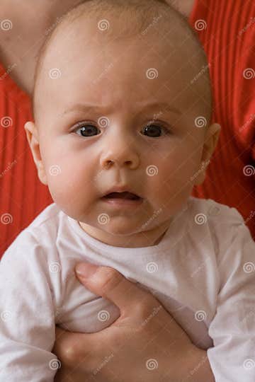 Baby wondering stock image. Image of pure, bonding, innocent - 2695953