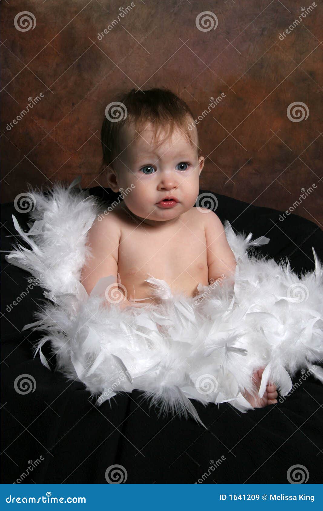 Baby wrapped in Feathers stock image. Image of eyes, closeups - 1641209