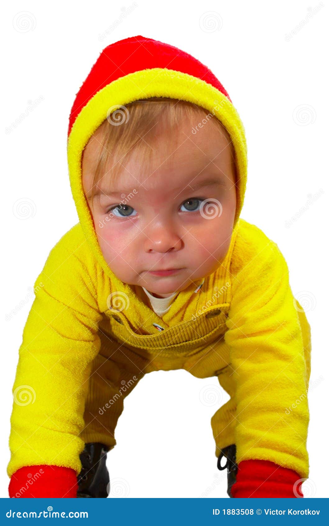Baby with Yellow. Isolated Concept. Stock Photo - Image of isolated ...