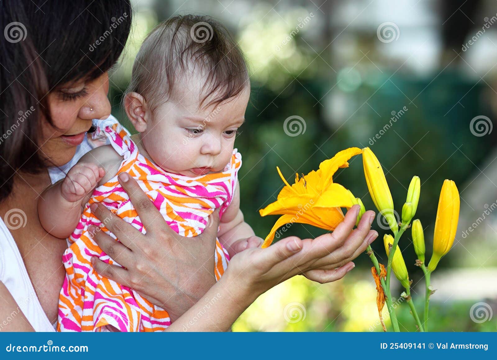 Yellow Lilly With Leaves Stock Photography | CartoonDealer.com #121717196