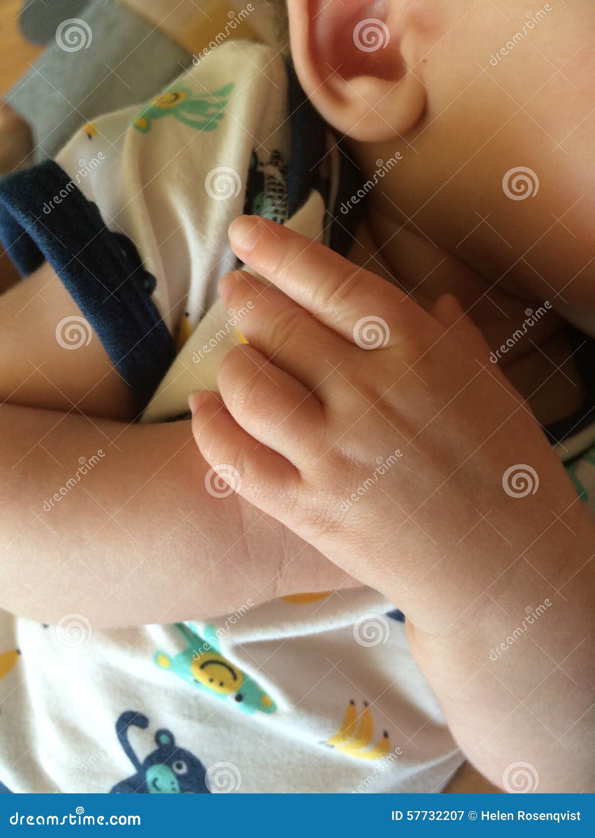 Babys hand stock image. Image of cute, little, hand, bebis - 57732207