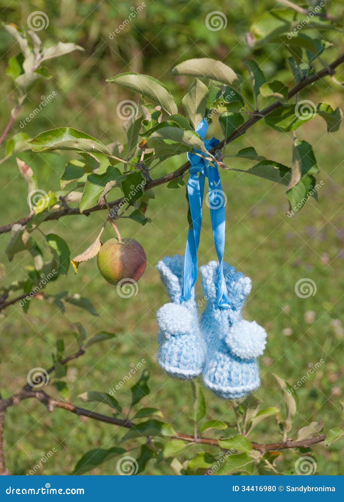 Wollen Babyshoes Stock Photos - Free & Royalty-Free Stock Photos from ...