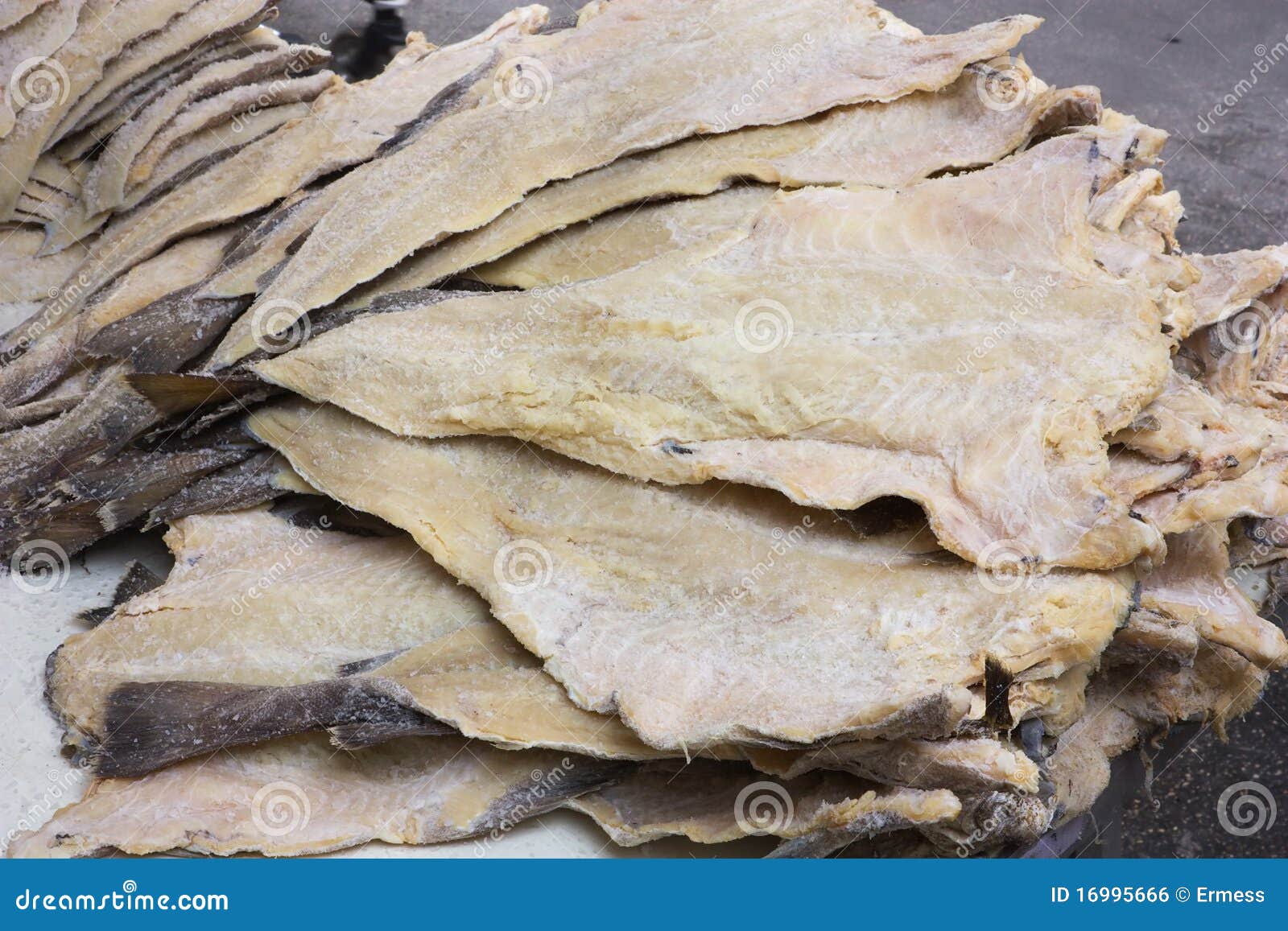 Bacalhau salgado foto de stock. Imagem de faixa, mediterrâneo - 16995666