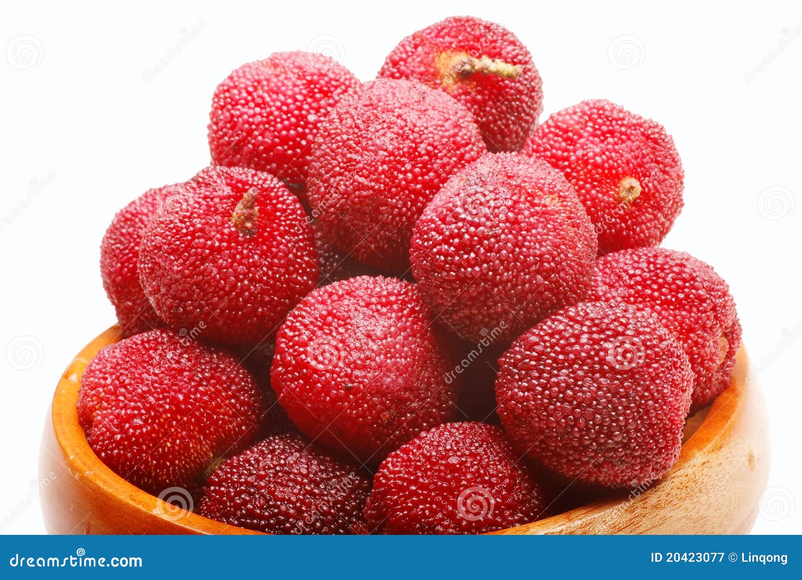 Bacca di mirica rossa immagine stock. Immagine di attraente - 20423077