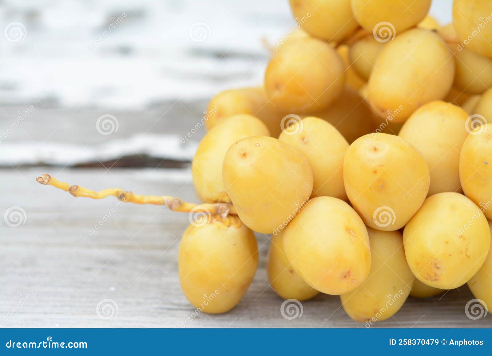 Baccaurea fruit stock image. Image of euphorbiaceae - 258370479