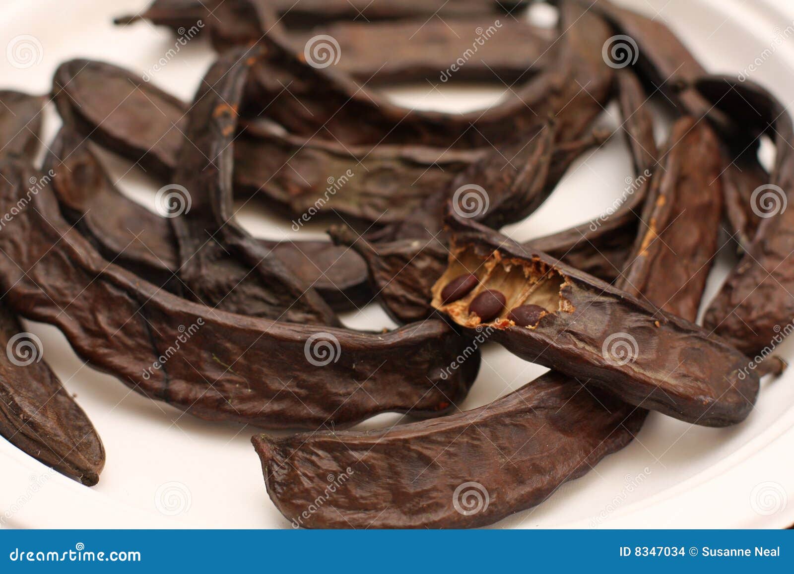 Baccelli E Semi Della Carruba Fotografia Stock - Immagine di posatura ...
