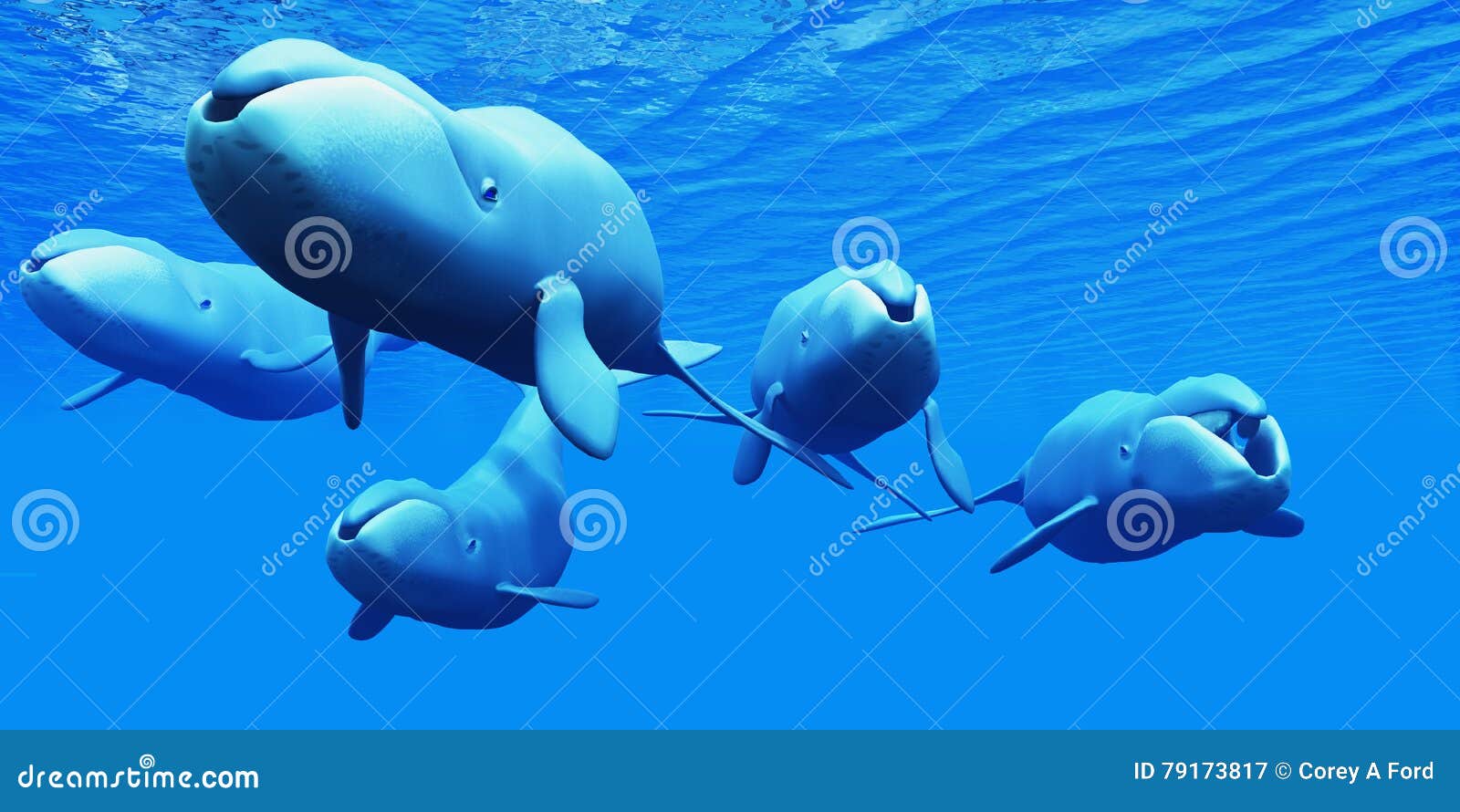 Baccello Della Balena Di Bowhead Illustrazione di Stock - Illustrazione ...