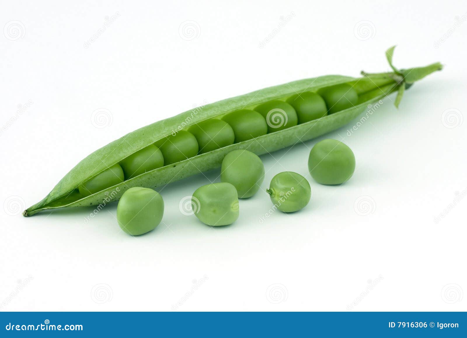 Baccello Di Pisello E Parecchi Piselli Fotografia Stock - Immagine di ...