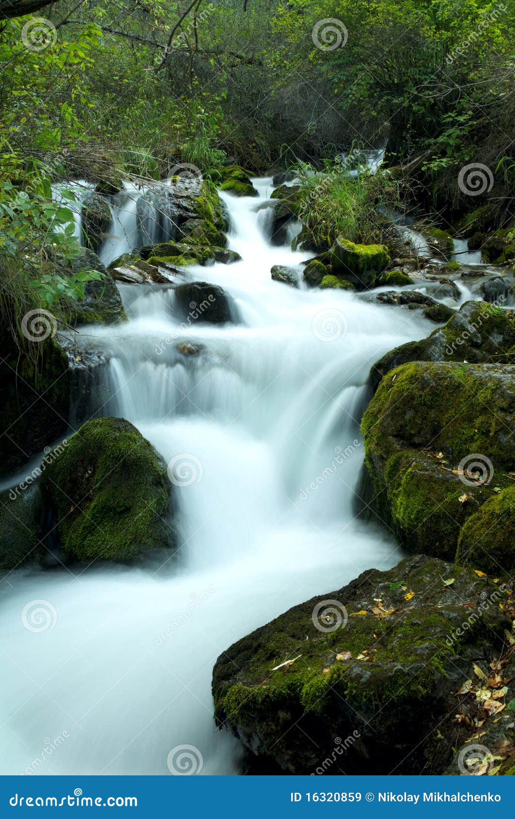 Bach im Wald stockbild. Bild von berührung, kühl, kaskade - 16320859